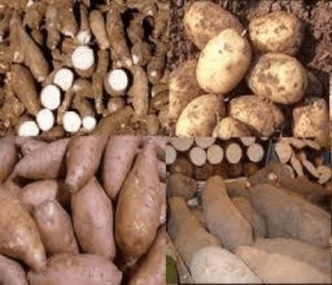 Tubers Products | FoodLocker - Your Online Food Store