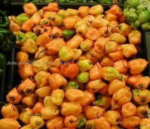 Cameroon Pepper | FoodLocker - Your Online Food Store